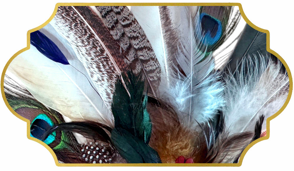 Decorative Bird Feather Packs Collection | Moonlight Feather