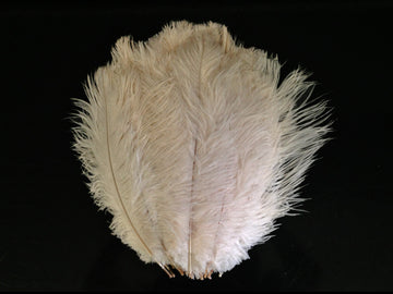Bulk Ostrich Feathers | Plumes, Fringes, Drabs & More – Moonlight Feather