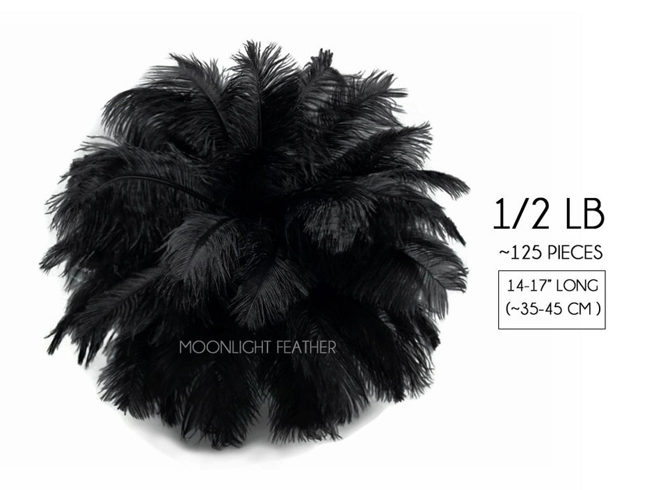 Bulk Ostrich Feathers | Plumes, Fringes, Drabs & More – Moonlight Feather