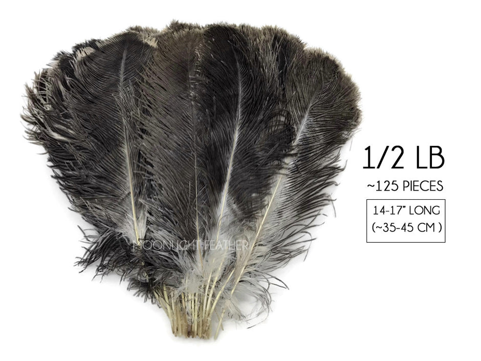 Bulk Feathers | Wholesale Feather Supplier | Moonlight Feather