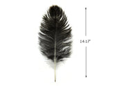 Bulk Feathers | Wholesale Feather Supplier | Moonlight Feather