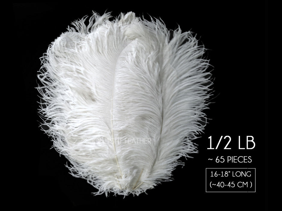Wholesale Ostrich Wing Plume Feathers | Moonlight Feather