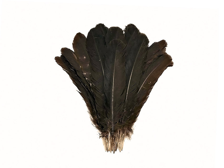 Bulk Turkey Feathers | Wholesale Craft Turkey Feathers – Moonlight Feather