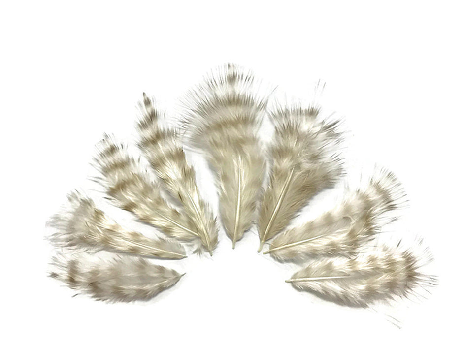 Rooster Fluff Feathers | Buy Rooster Chickabou Feathers – Moonlight Feather