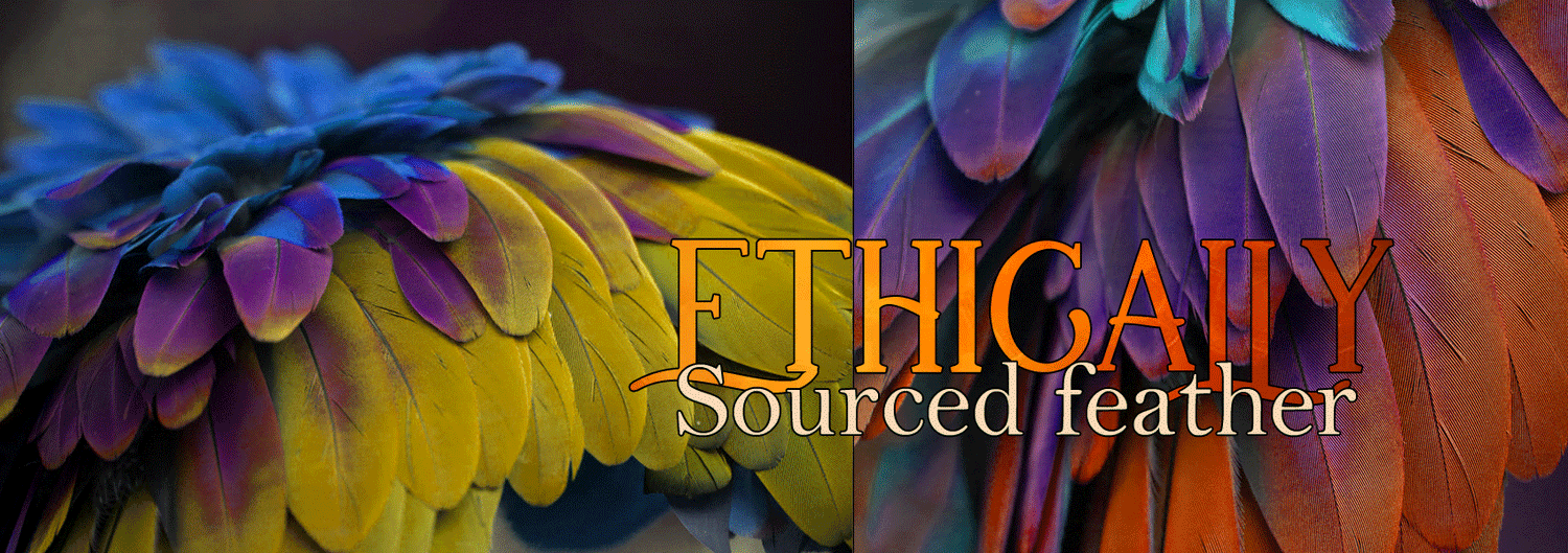 Feathers for crafting, sports and fashion – Moonlight Feather
