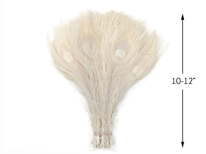 Real Peacock Feathers for Sale | Moonlight Feather