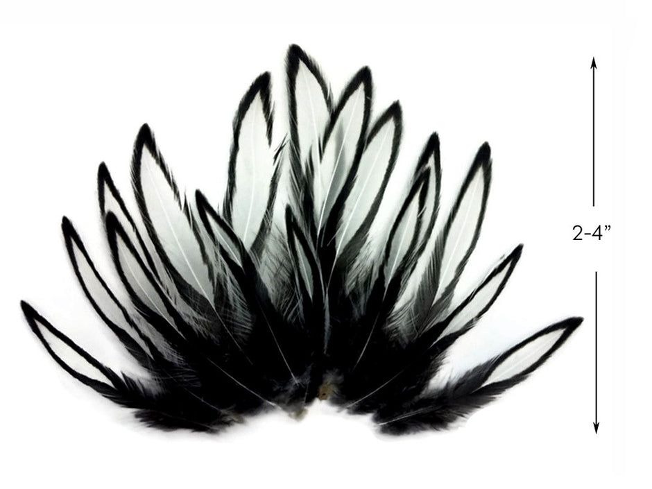 Exquisite Wedding Feathers: Elevate Your Special Day with Stunning ...