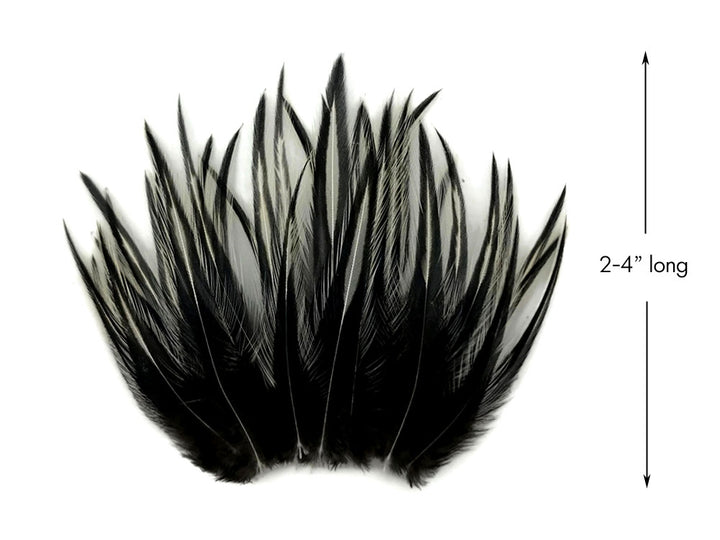 Rooster Feathers for Sale | Dyed & Natural Rooster Feathers – Moonlight ...