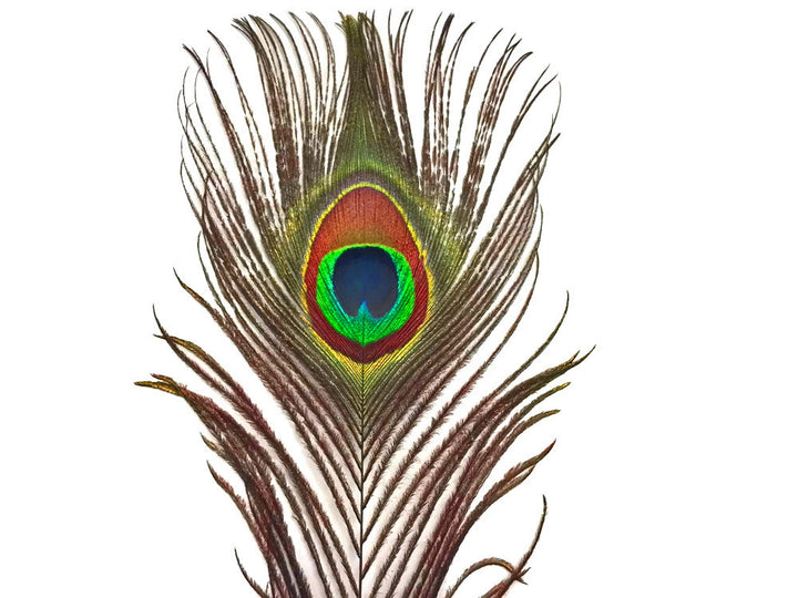 Exquisite Wedding Feathers: Elevate Your Special Day with Stunning ...