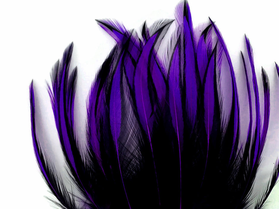 Rooster Feathers for Sale | Dyed & Natural Rooster Feathers – Moonlight ...