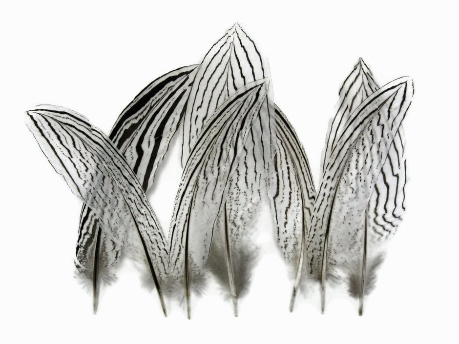 Small & Large White Craft Feathers for Sale | Moonlight Feather