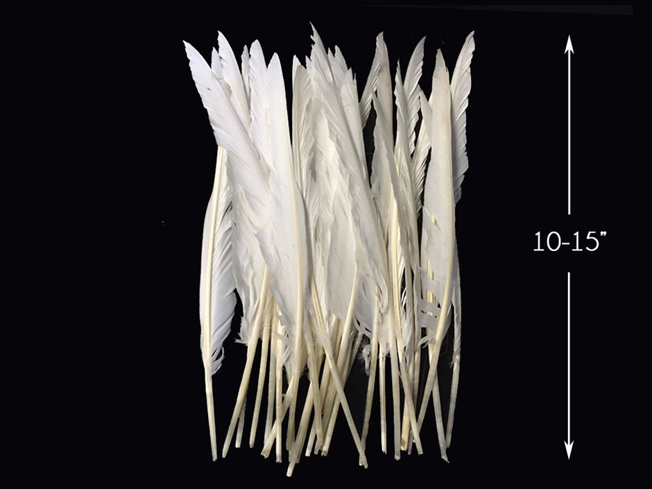 Small & Large White Craft Feathers for Sale | Moonlight Feather