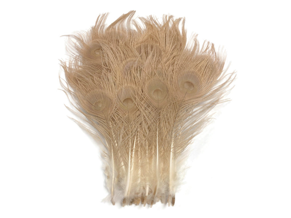 Real Peacock Feathers for Sale | Moonlight Feather