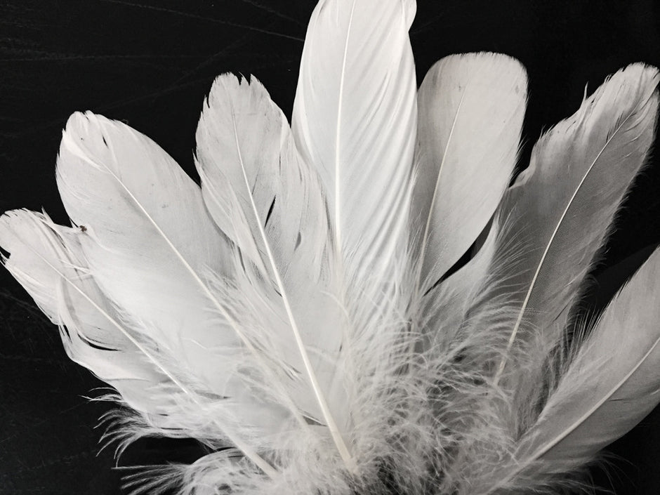 Bulk Goose Feathers | Wholesale Goose Feathers for Crafts – Moonlight ...